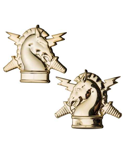 Psychological Operations Officer Branch Insignia - All Questions ...