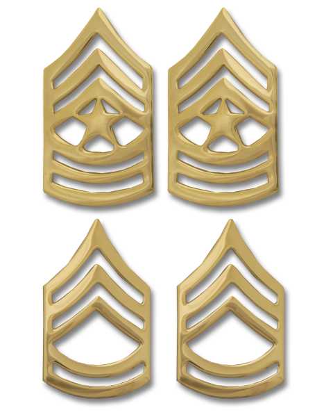 Bulk, Army Enlisted Non-Tarnish Rank Insignia, Pack of 5 - All ...