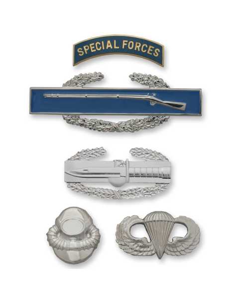 Army mirror-like finish Full-Size Skill & Combat Badges - All Questions ...