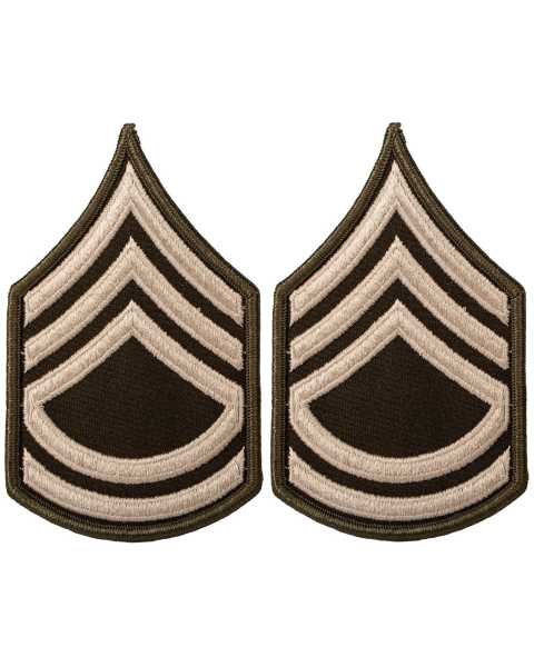 AGSU - Army
