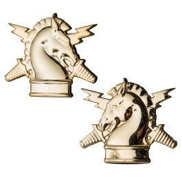Psychological Operations Officer Branch Insignia | Marlow White